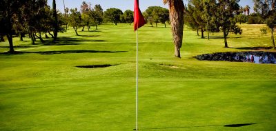 Scott Burnstein, Author at The Gangster Report