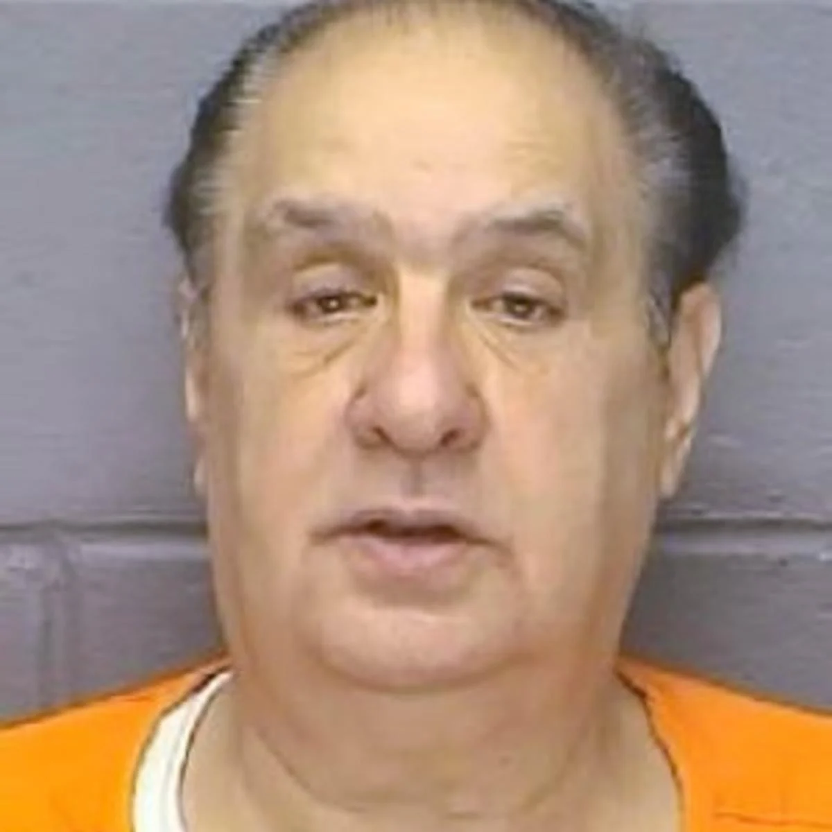 A Gator’s Last Chomp In New Jersey: Bruno-Scarfo Crime Family Affiliate ...