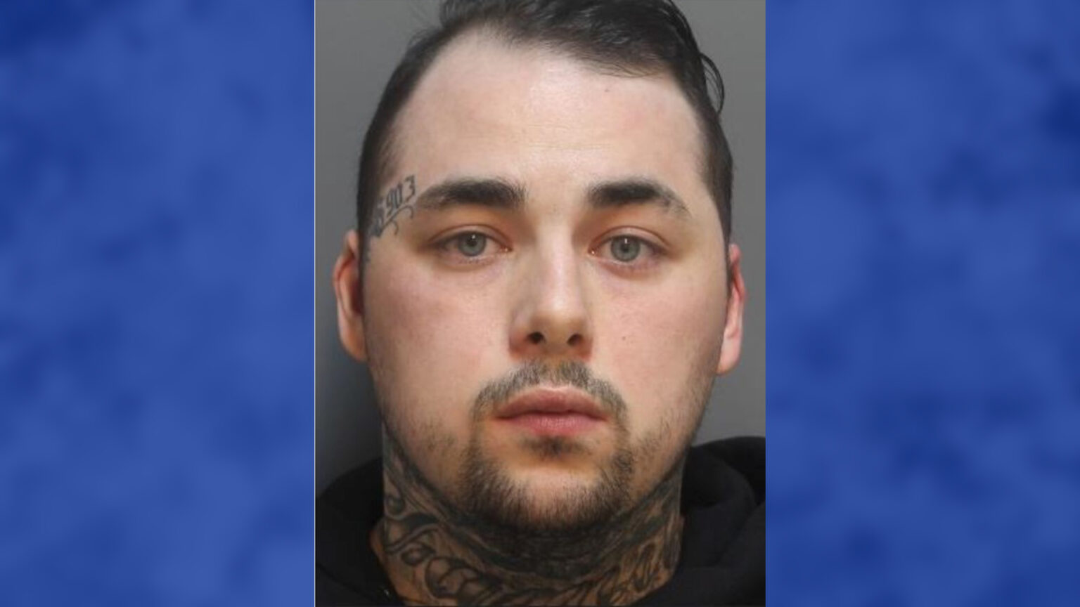 Fugitive Blood Family Mafia Lieutenant Taken Into Custody Last Month In ...